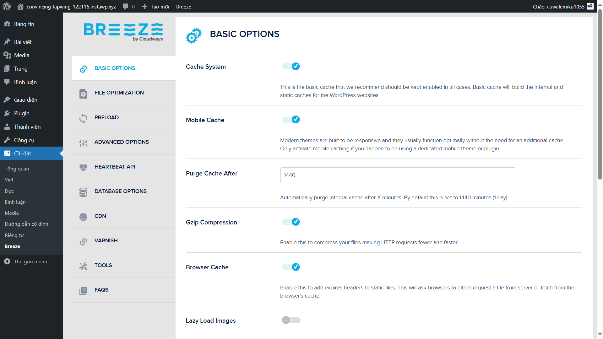 QS • Hướng dẫn dùng plugin tối ưu Breeze Cache